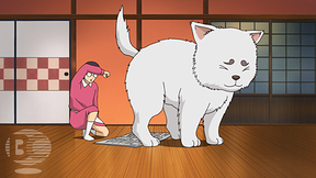 銀魂’ 第230話 | dアニメストア