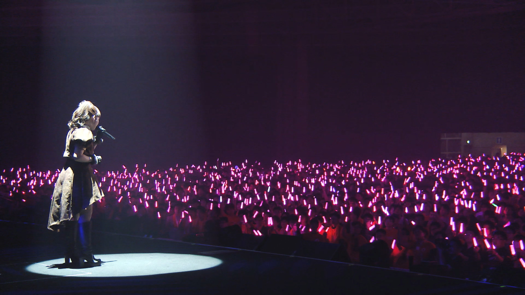 fripSide 15th Anniversary Tour 2017-2018 “crossroads” Chapter.10 | dアニメストア