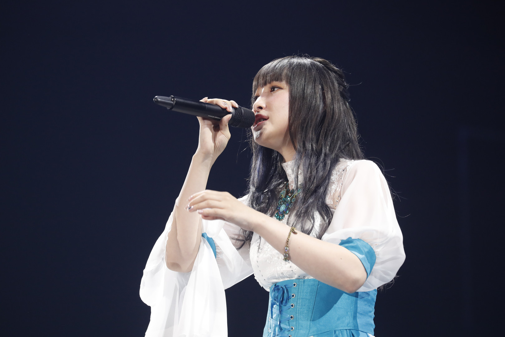 ANIMAX MUSIX 2019 KOBE Chapter.1 | dアニメストア