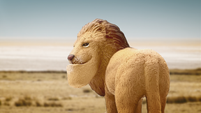 MOG MOG PLANET REAL版 | アニメ動画見放題 | dアニメストア