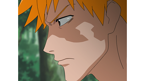 BLEACH 第208話 | dアニメストア