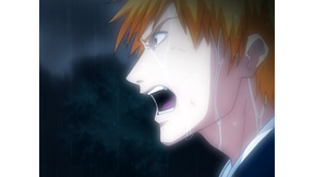 BLEACH 第208話 | dアニメストア