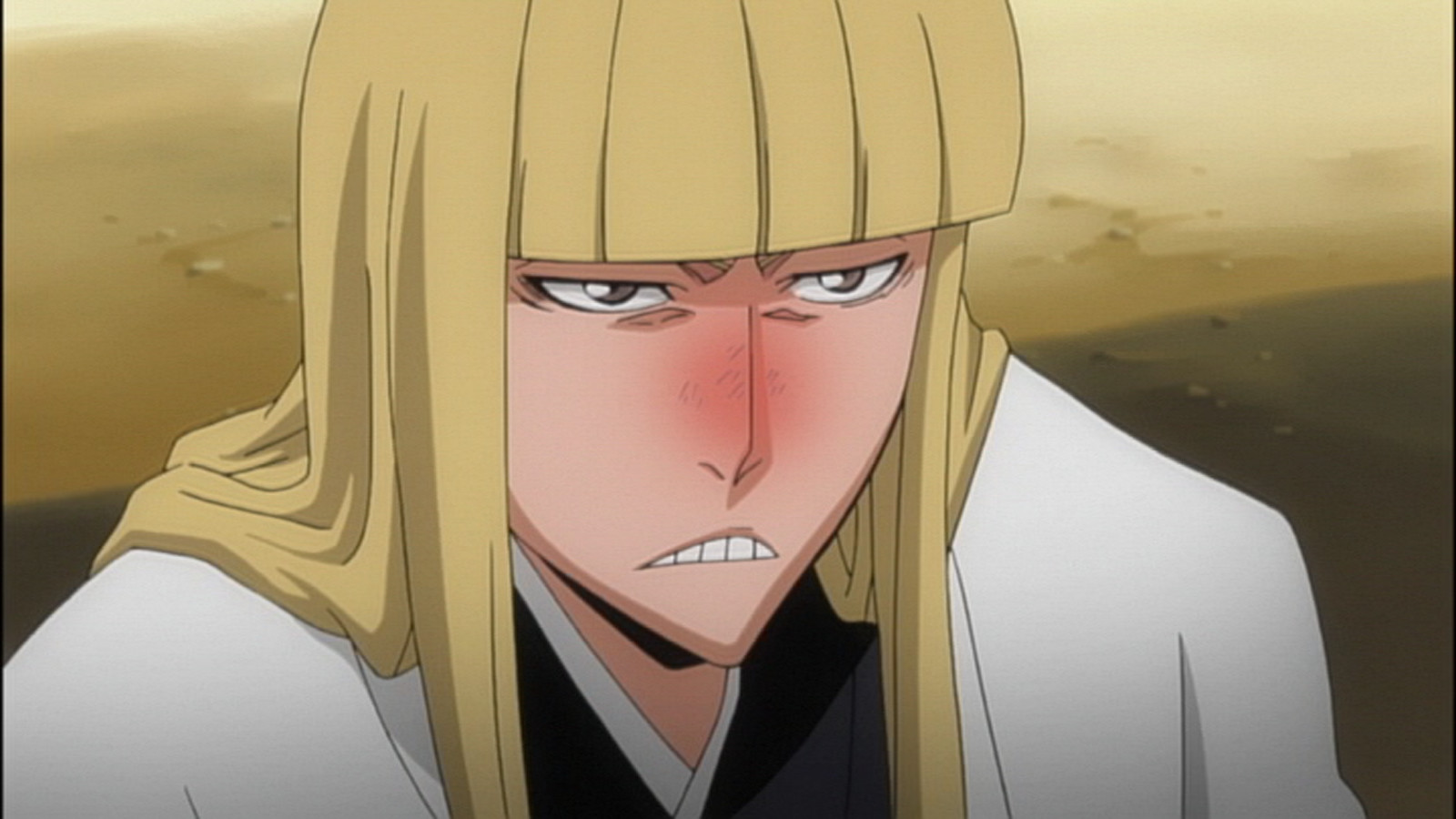 BLEACH 第207話 | dアニメストア