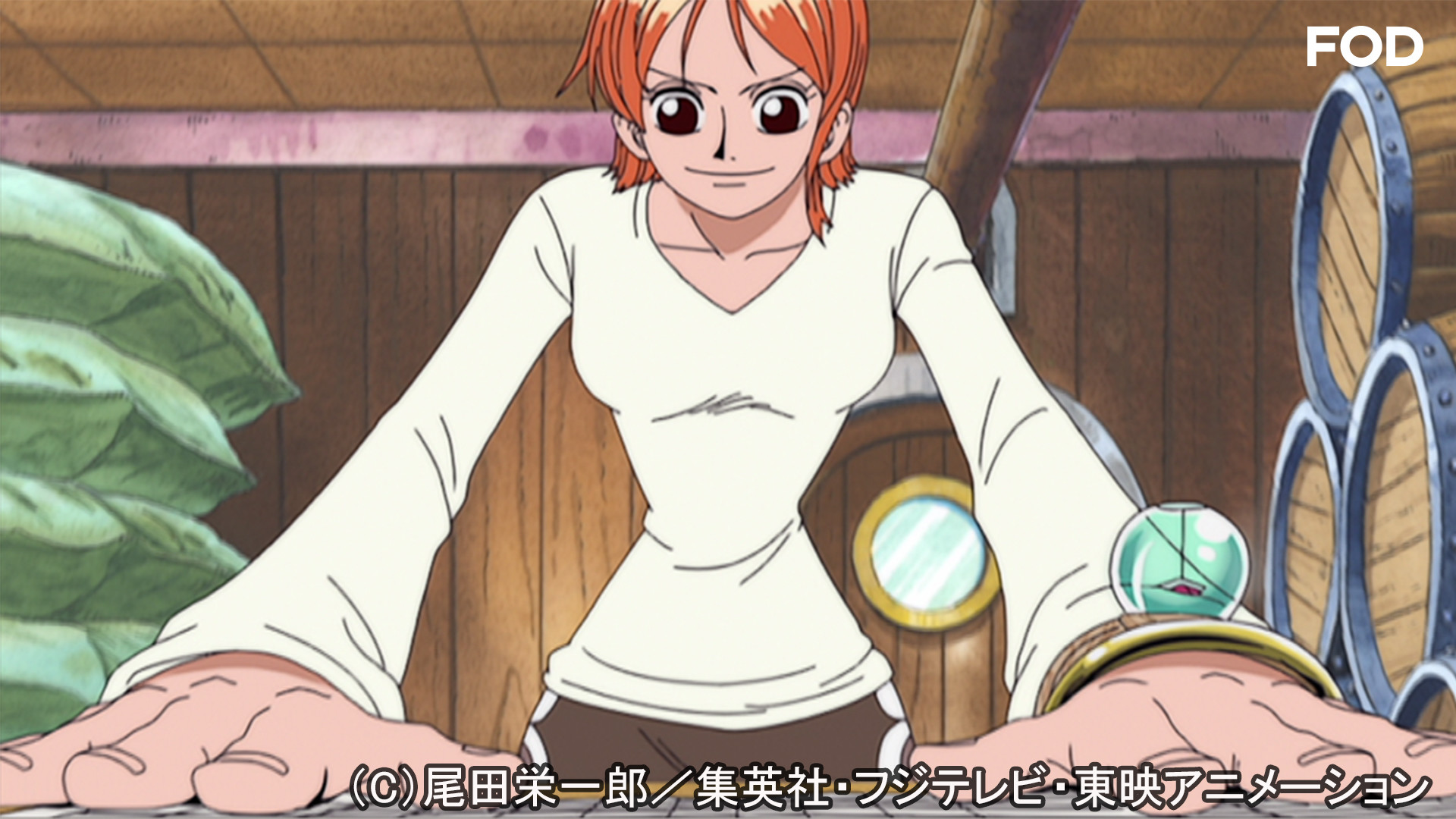 ワンピース TVオリジナル編 #132 | dアニメストア